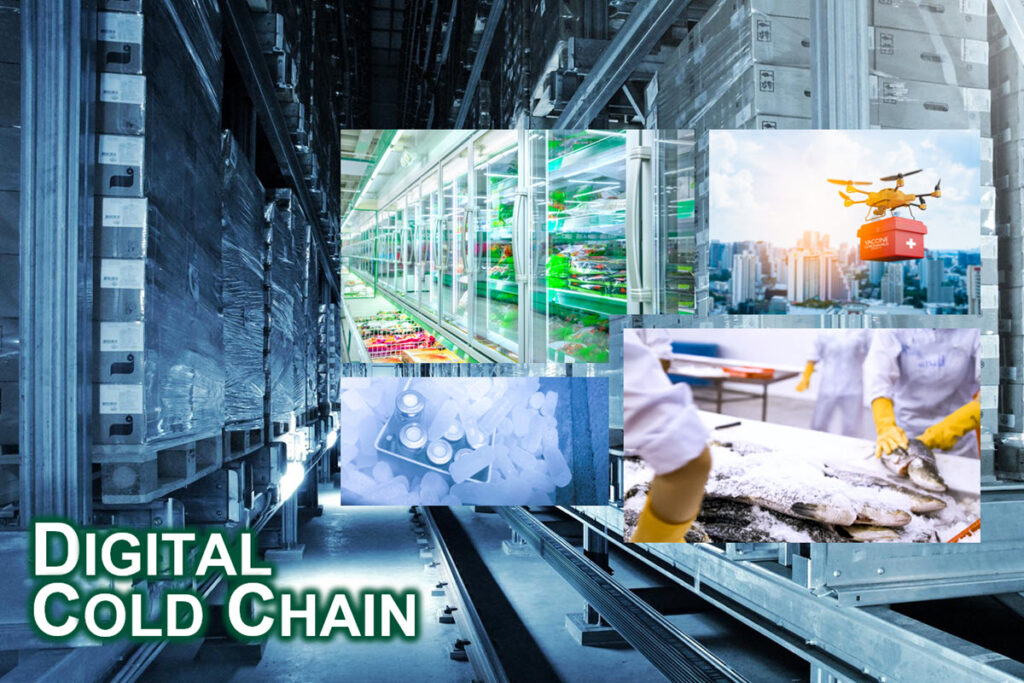 Logistics, Procurement, Supply Chain Management Online Digital Courses